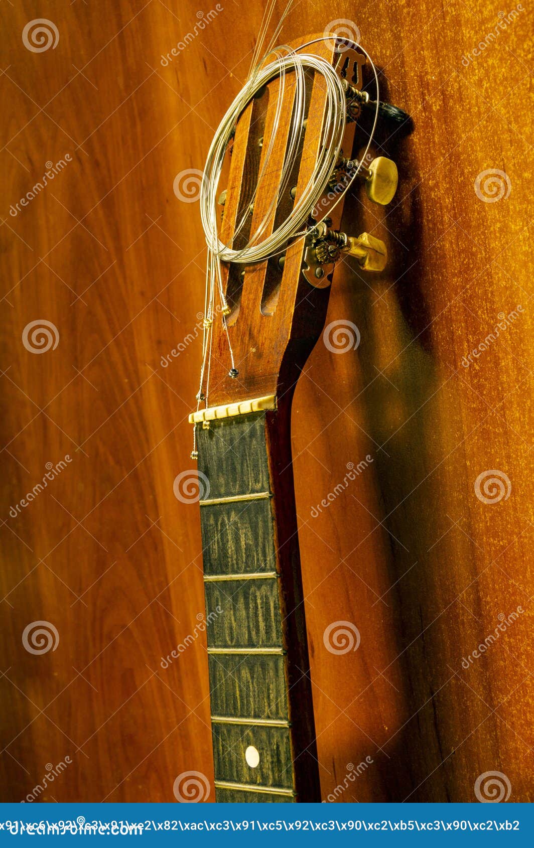 Stringed Musical Instruments, Guitar Fretboard Strings Stock Photo ...