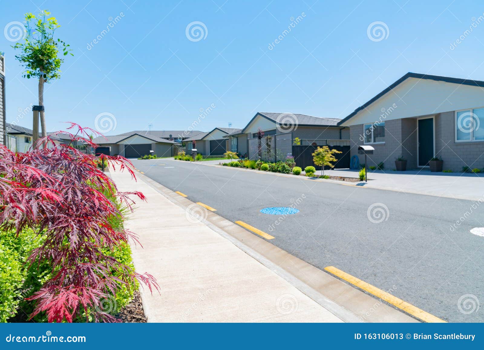 New Subdivision Street with Uniform Homes Stock Image - Image of ...