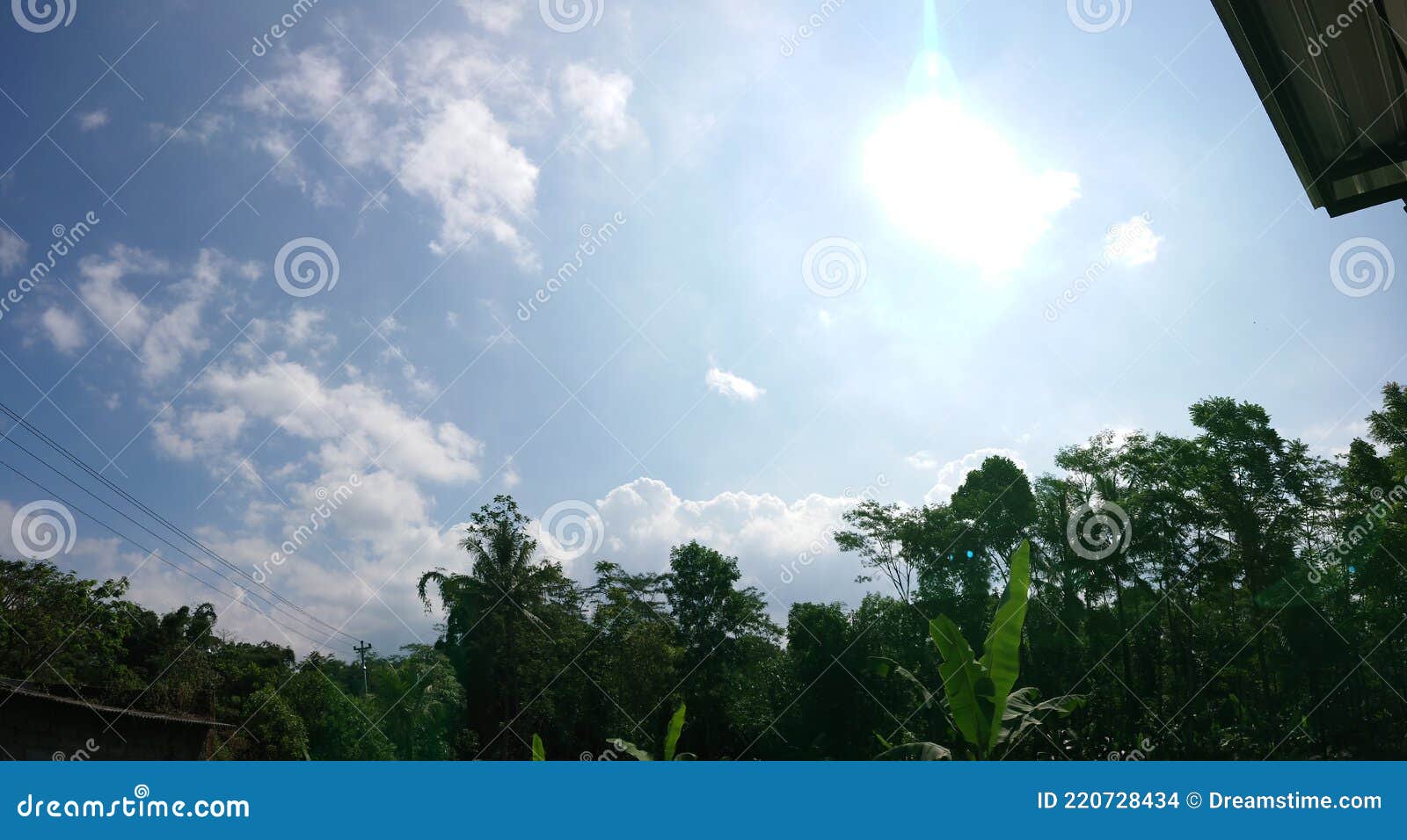 New Summer in June stock photo. Image of sunlight, summer - 220728434