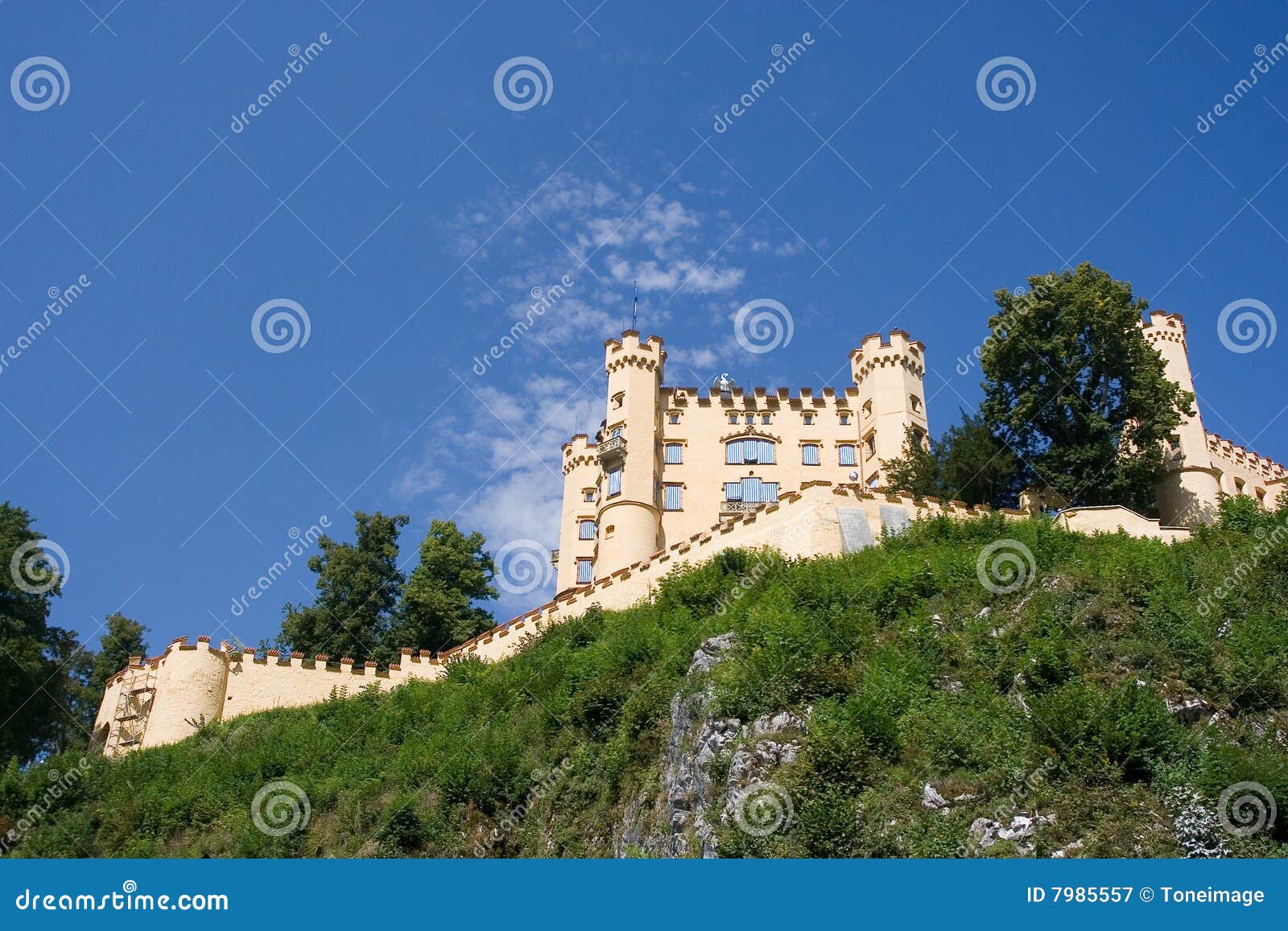 New Swan Stone palace stock image. Image of germany, swan - 7985557