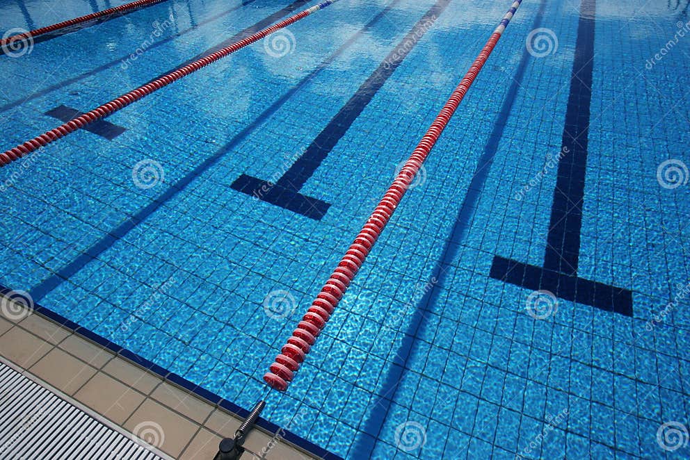 New swimming pool stock photo. Image of college, size, official - 806986
