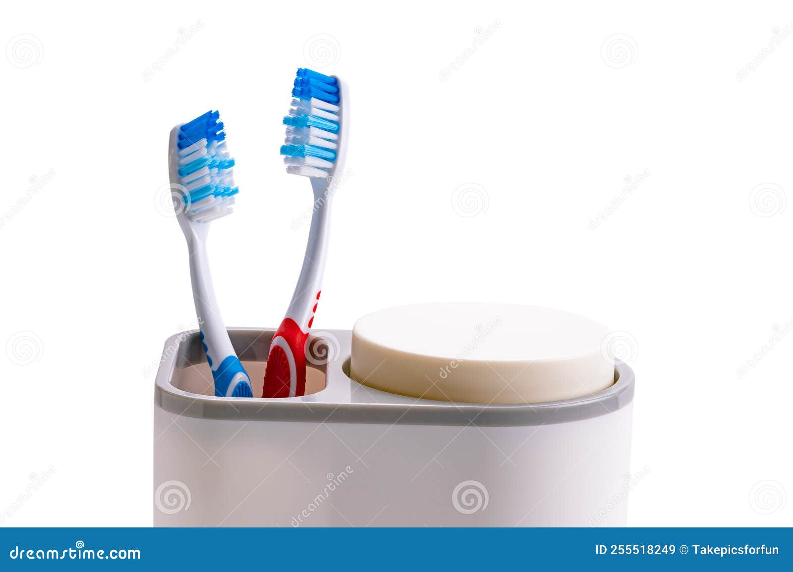 New Toothbrushes Red and Blue Handle in Plastic Holder Stock Image ...