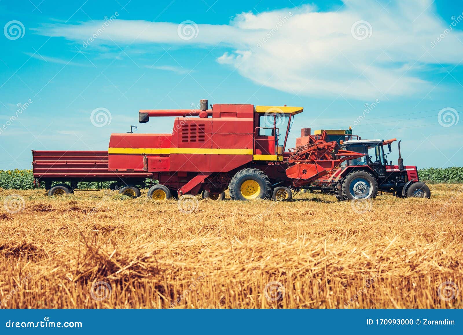 Tractor and Combine Harvesting Wheat Stock Photo - Image of machinery ... Tractor and Combine Harvesting Wheat Stock Photo - Image of machinery ...