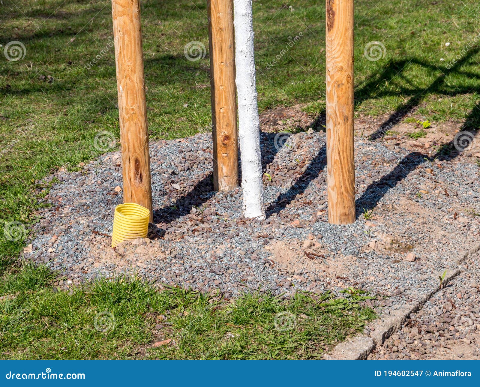 New Tree with Drainage Pipe for Irrigation Stock Image - Image of pipe ...