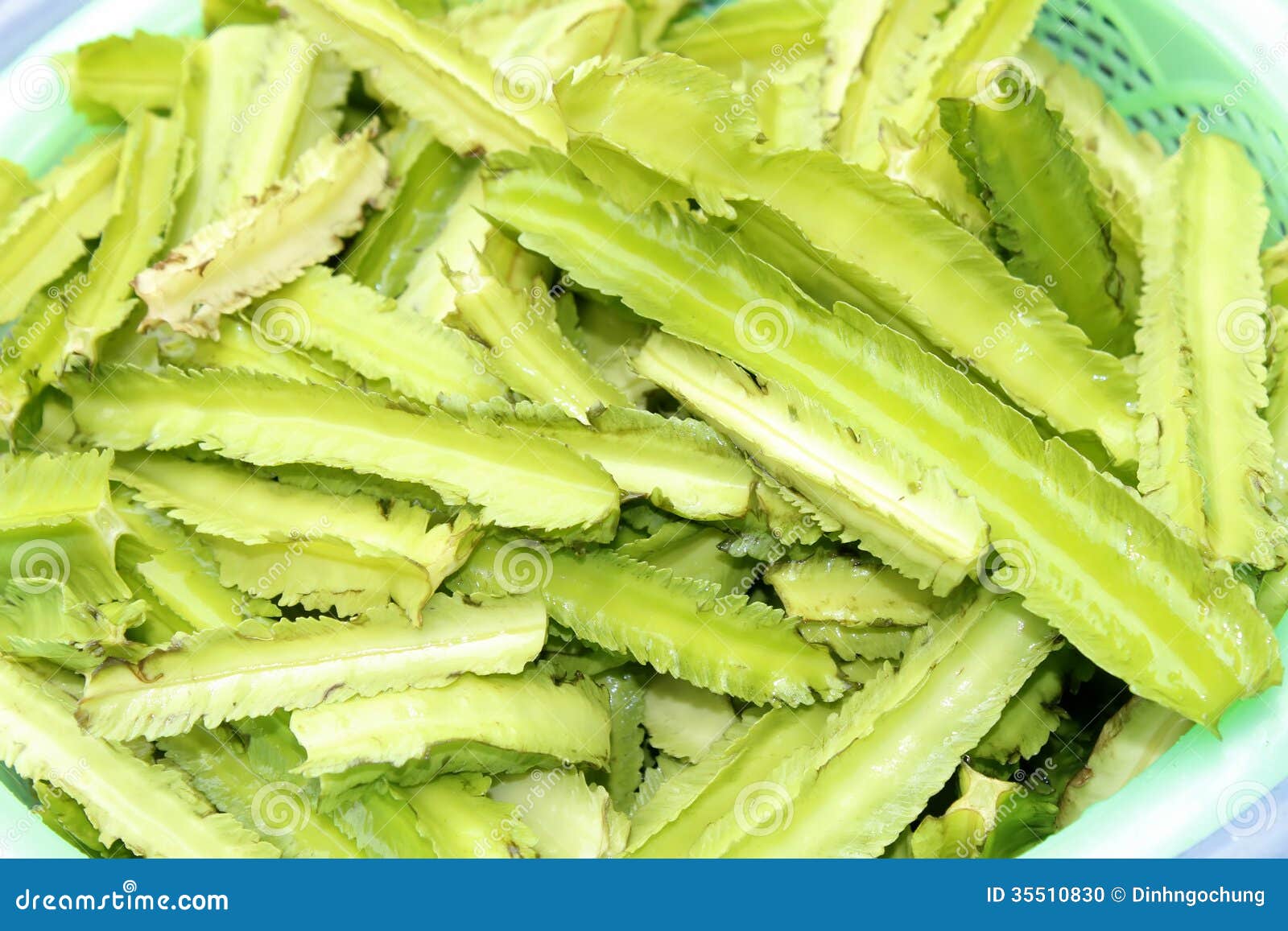 The New Vegetables in the Garden Stock Photo - Image of food, isolated ...