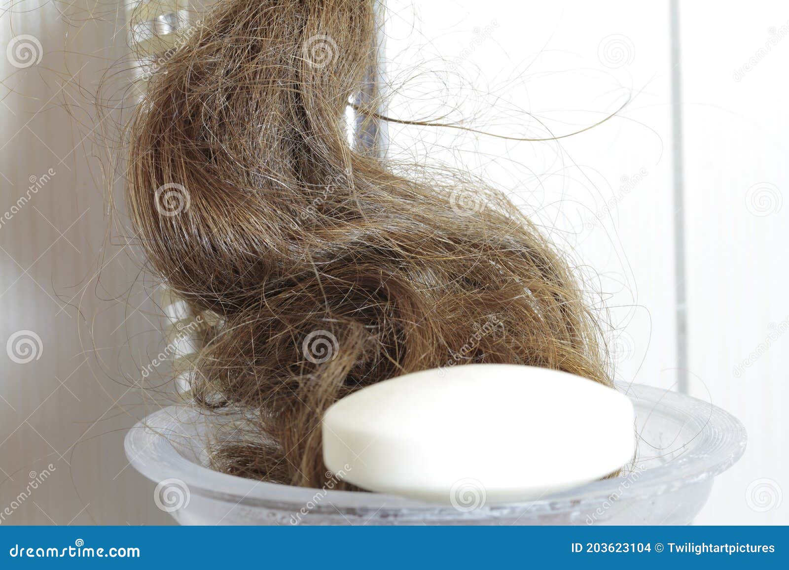 Wash Long Hair with Solid Shampoo in an Environmentally Friendly Way ...