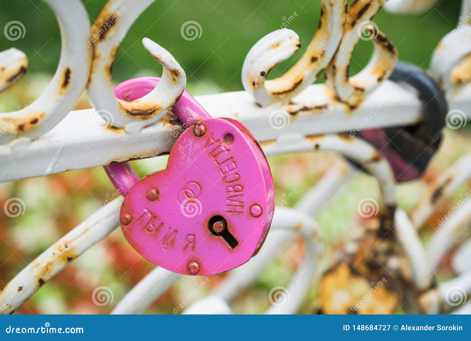 Wedding Tradition - Locks on the Bridge or Fence Stock Image - Image of ...