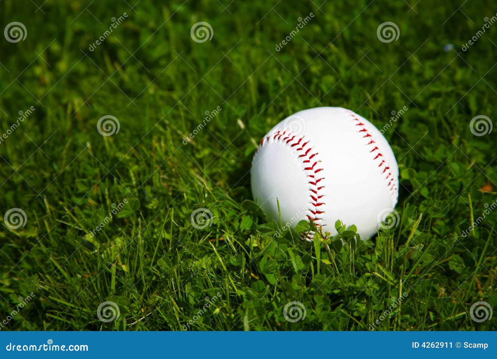 New White Baseball stock image. Image of green, league - 4262911