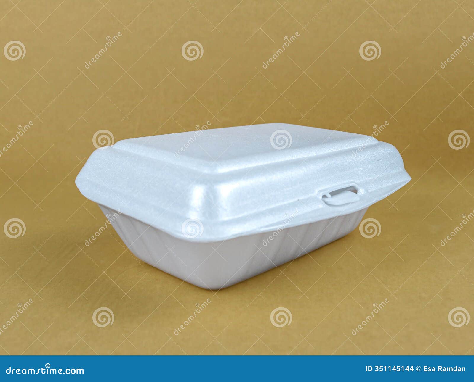 The New White Styrofoam Food Box Stock Photo - Image of lunch, away ...