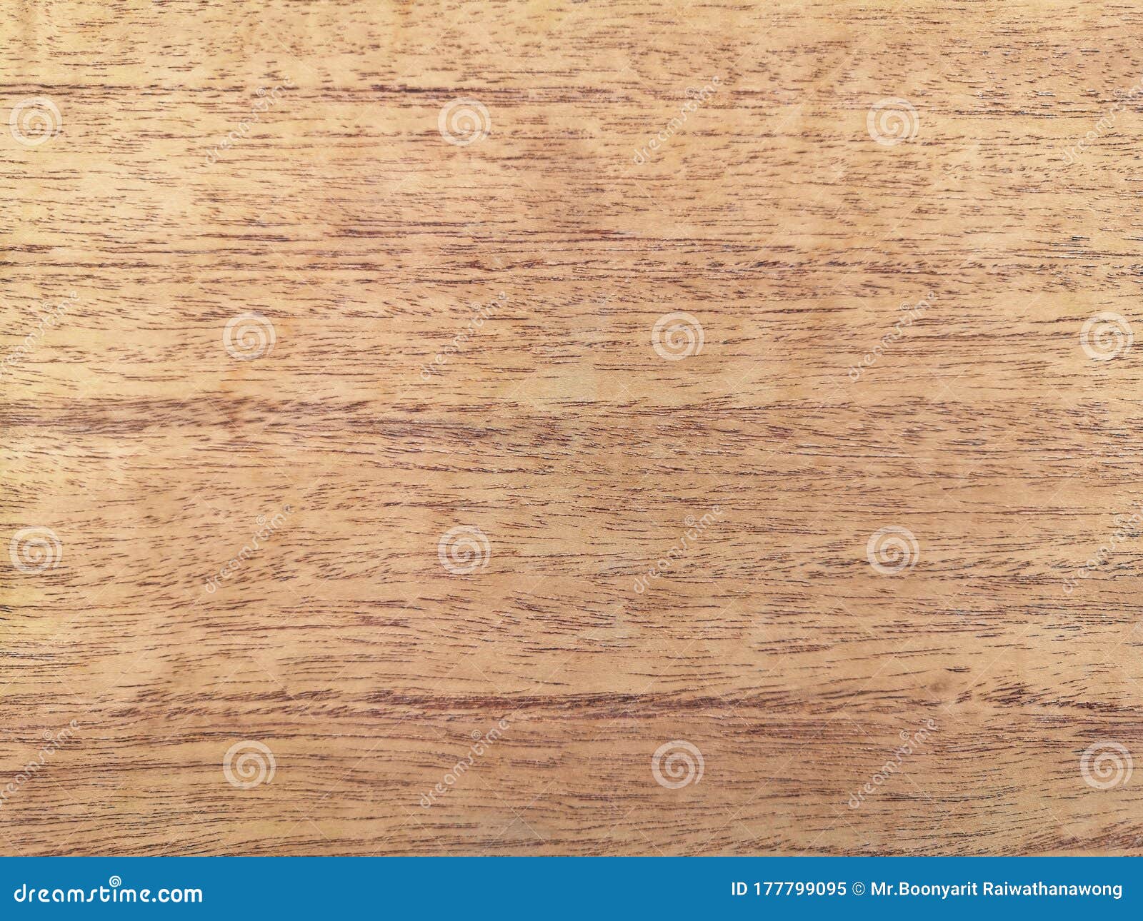 New Wood Texture Background Surface with Natural Pattern. Stock Image ...