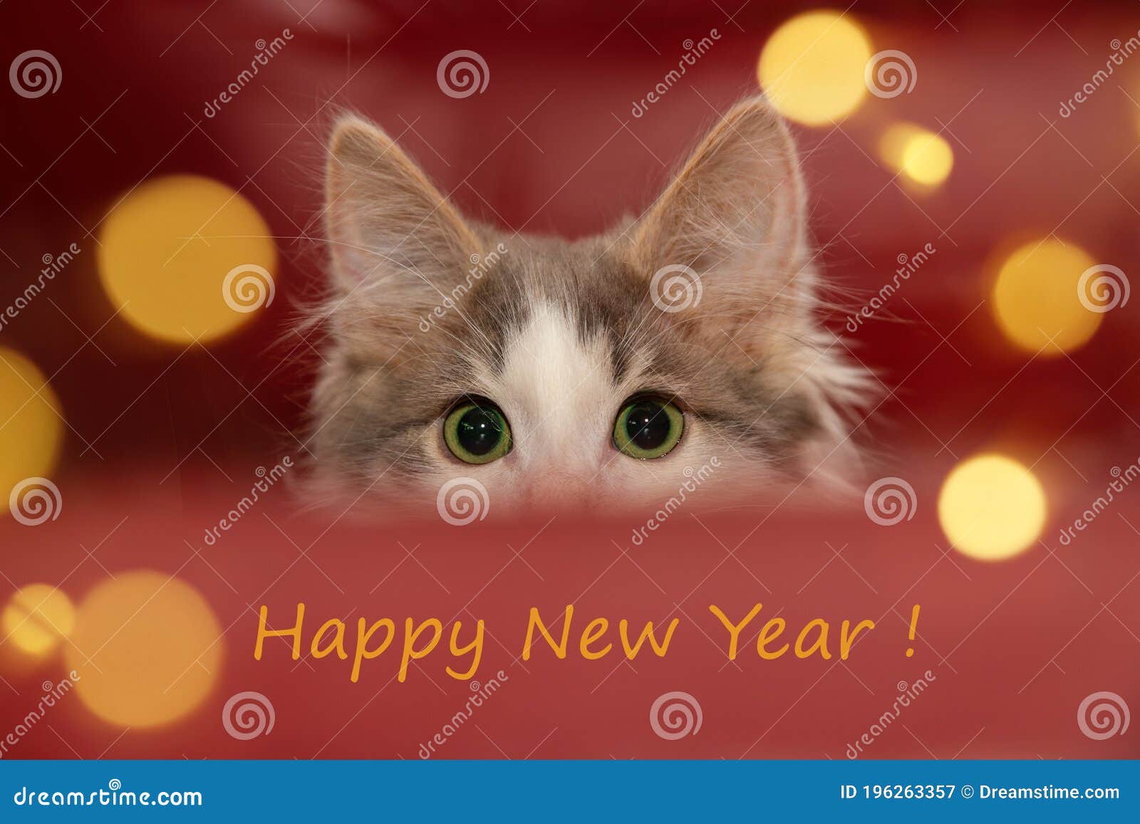 New Year Cat is Looking on the Lights, Red Background Stock Image ...