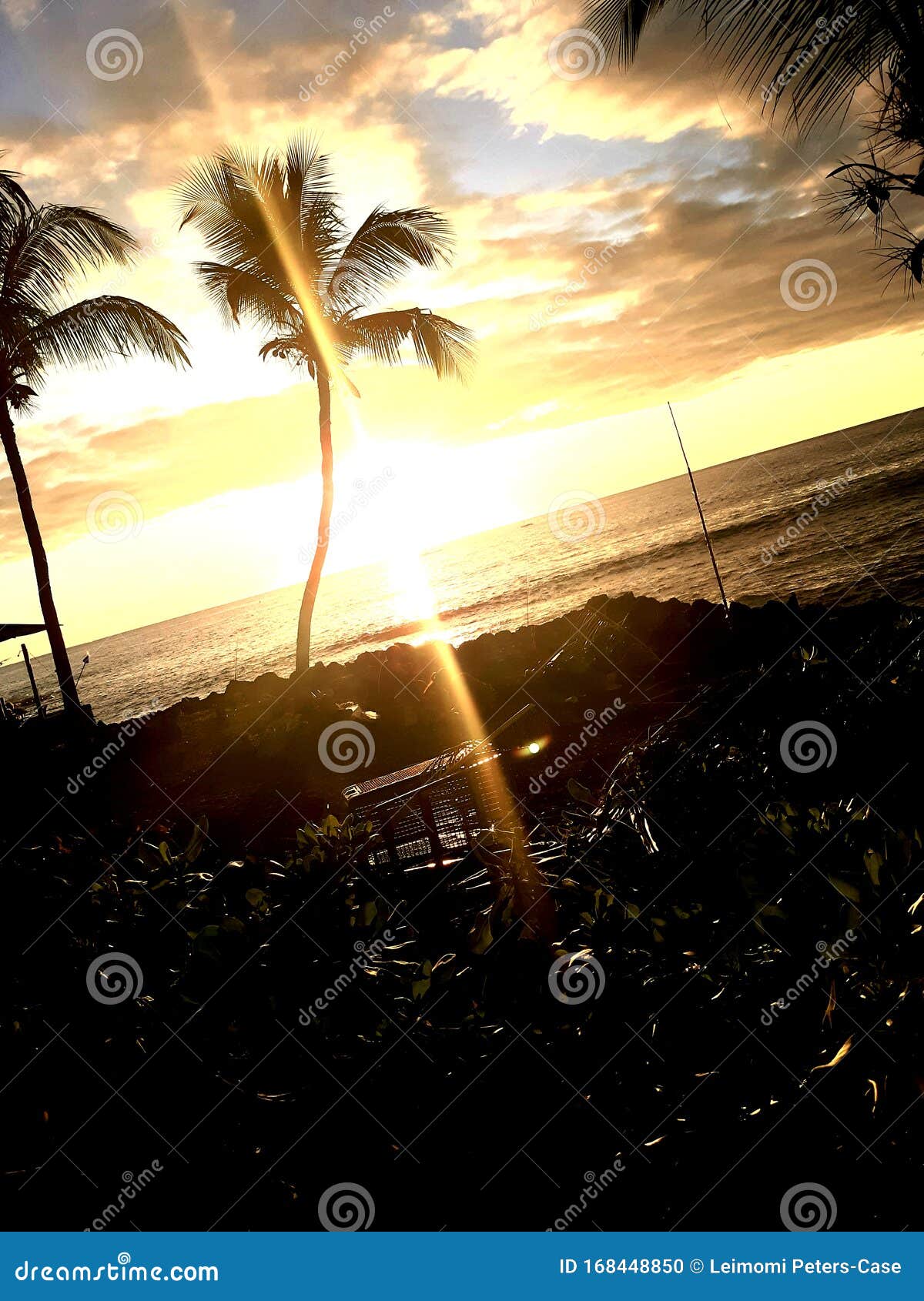 New Year& X27;s Eve Sunset Goodbye 2019 Stock Photo - Image of years ...