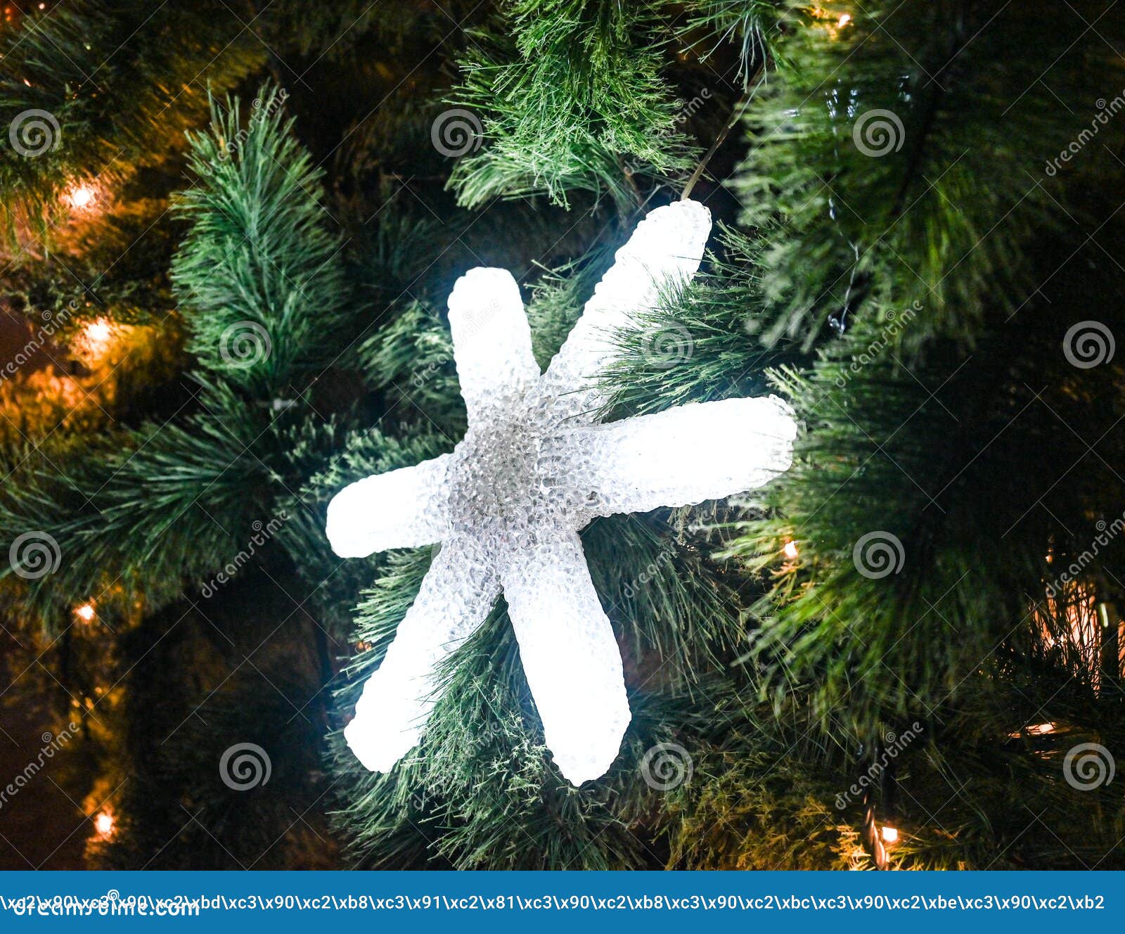 New Year`s White Star on the Christmas Tree Stock Photo - Image of ...