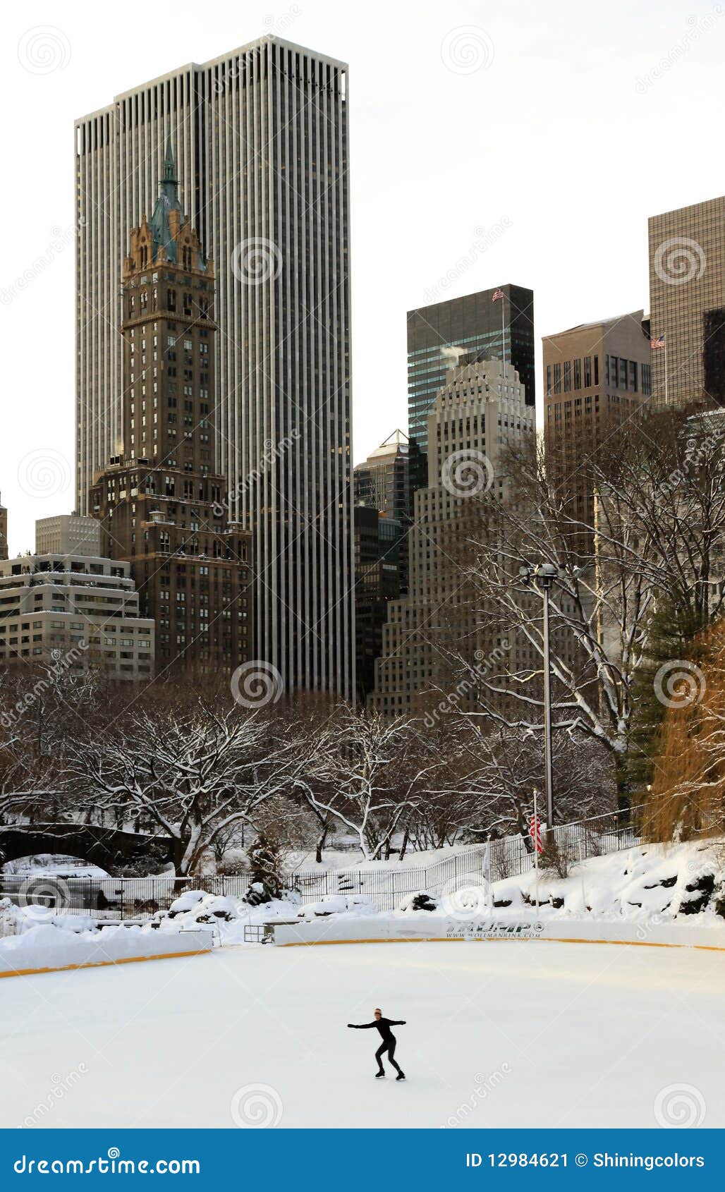 New York Central Park after Snow Editorial Photo - Image of central ...