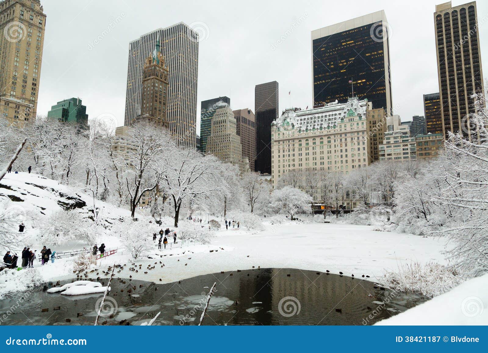 New York City Central Park in Snow Editorial Photography - Image of ...
