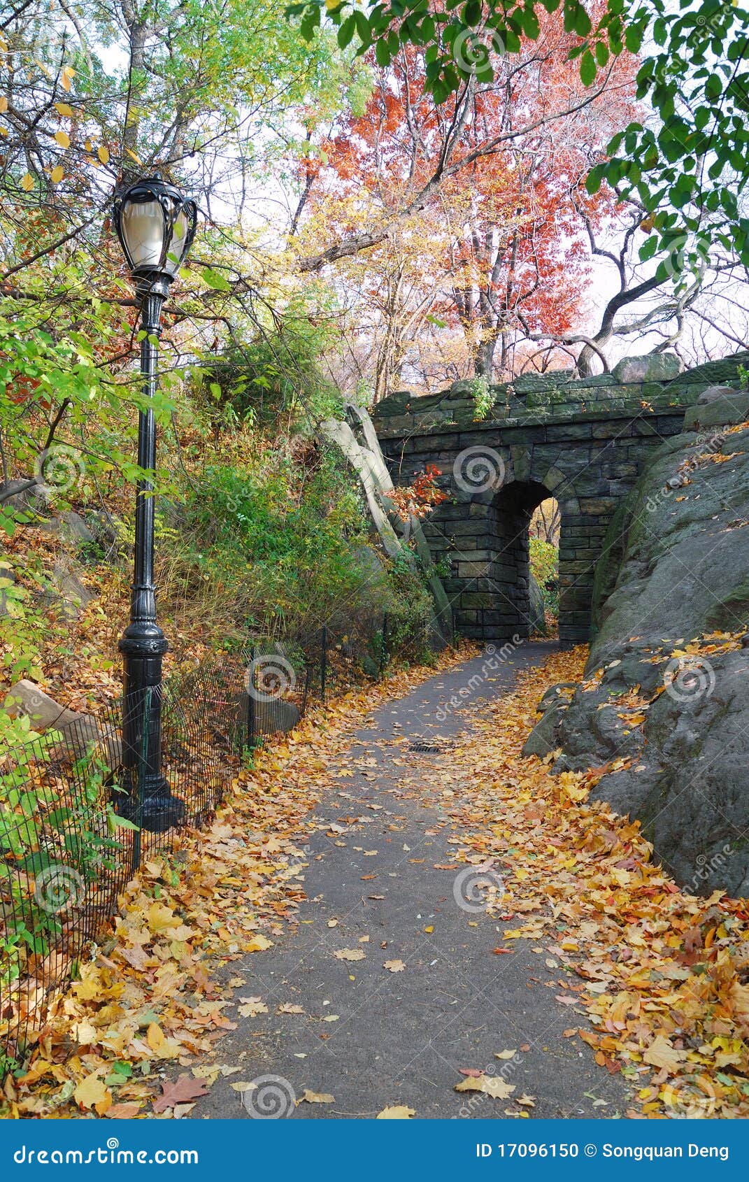 New York City Central Park Stone Bridge Stock Photo - Image of green ...