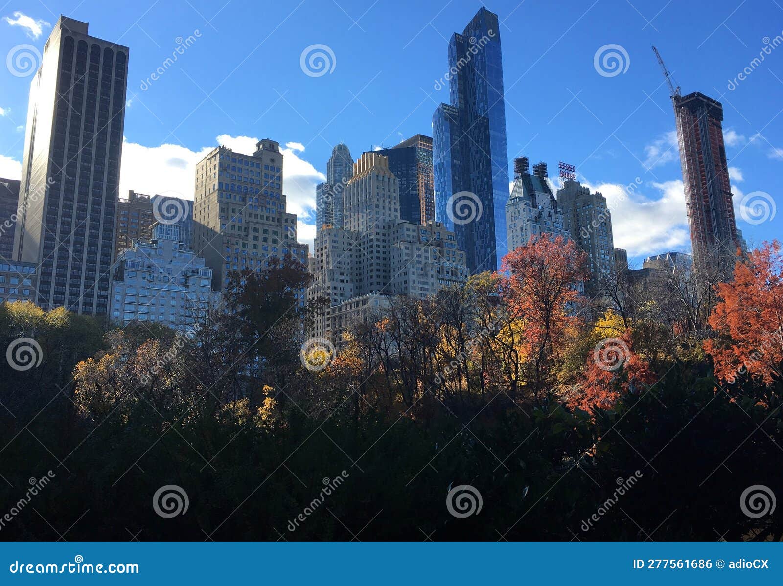 New York City Skyline from Central Park Stock Photo - Image of fall ...