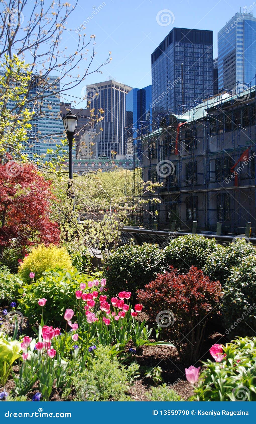 New York City in Spring stock photo. Image of sunny, spring - 13559790