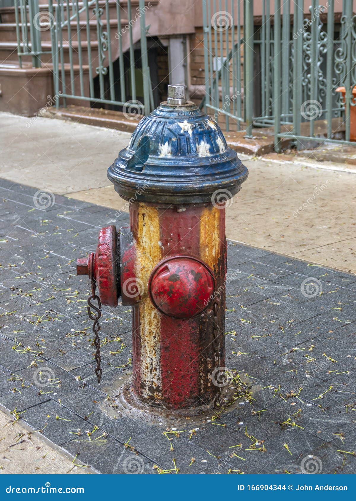 New York Fire Hydrant stock photo. Image of decorated - 166904344