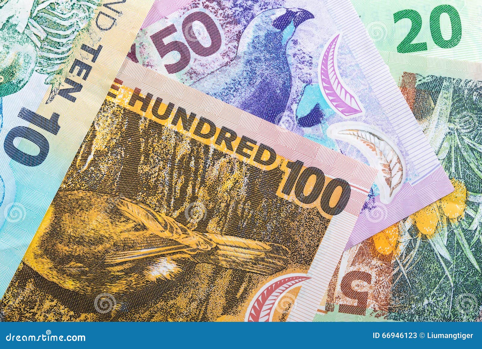 New Zealand banknotes stock image. Image of travel, sell - 66946123