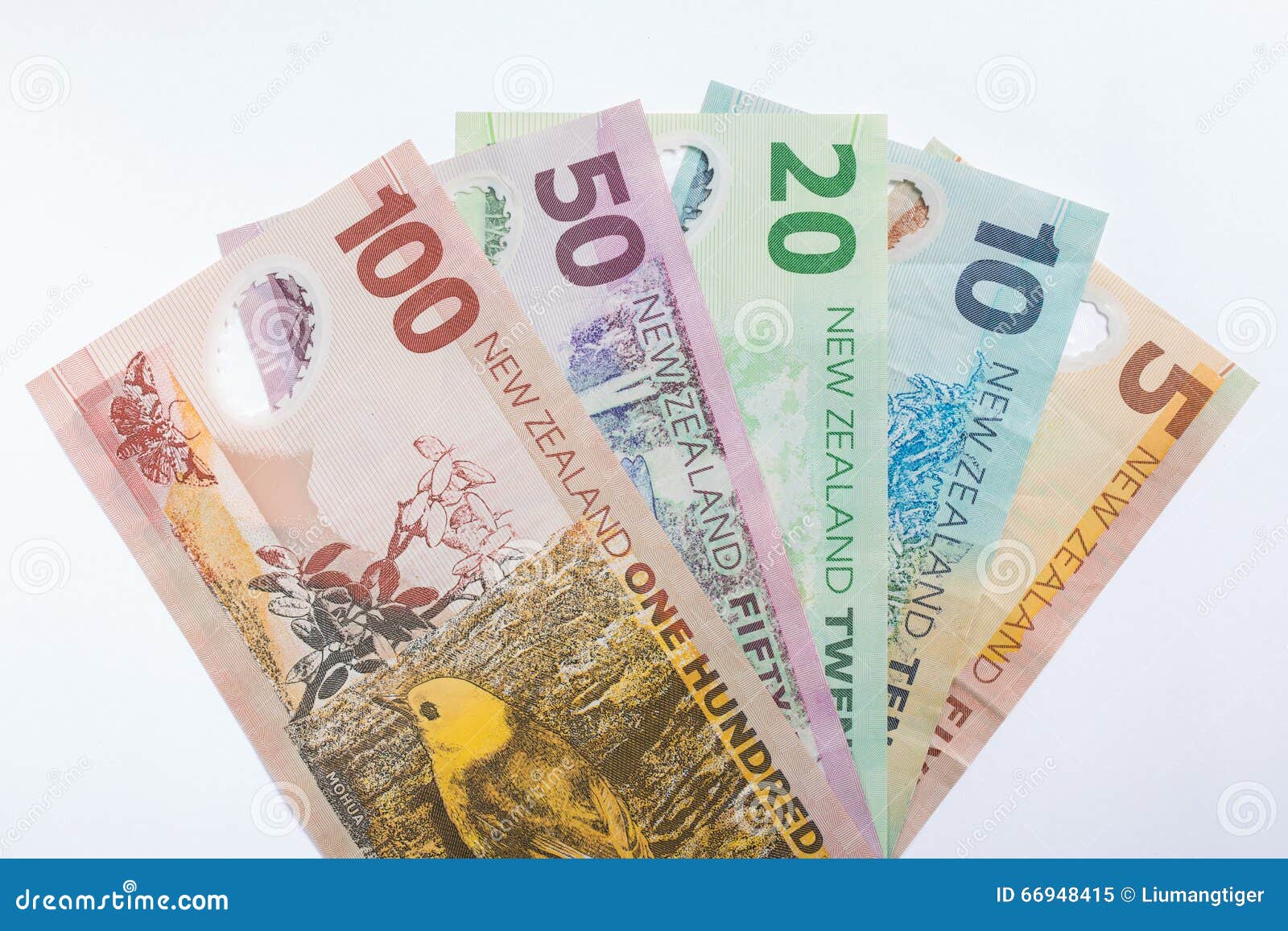 New Zealand Banknotes Set in White Background 2 Stock Image - Image of ...
