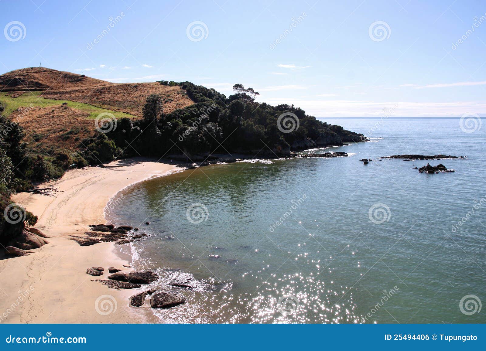 New Zealand Beach In Summer. Dune Grasses And Blossoming Pohutukawa ...