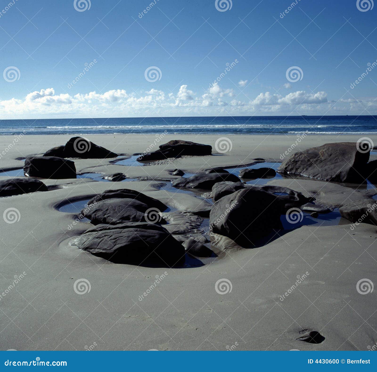 New Zealand beach stock photo. Image of scene, island - 4430600