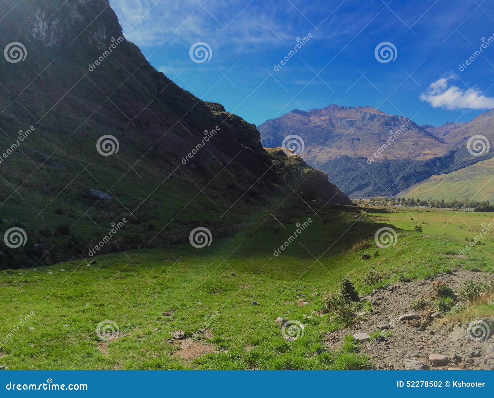 New Zealand stock photo. Image of zealand, deep, green - 52278502