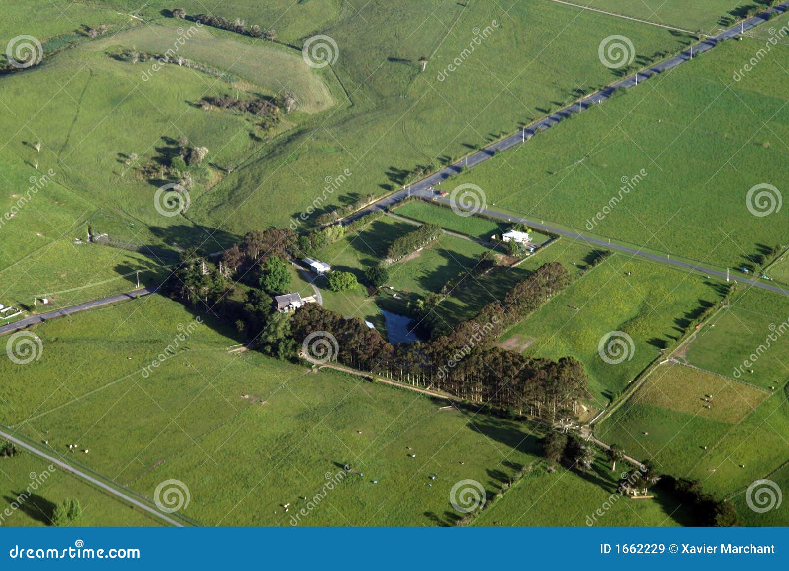 New zealand farm stock image. Image of landscape, green - 1662229