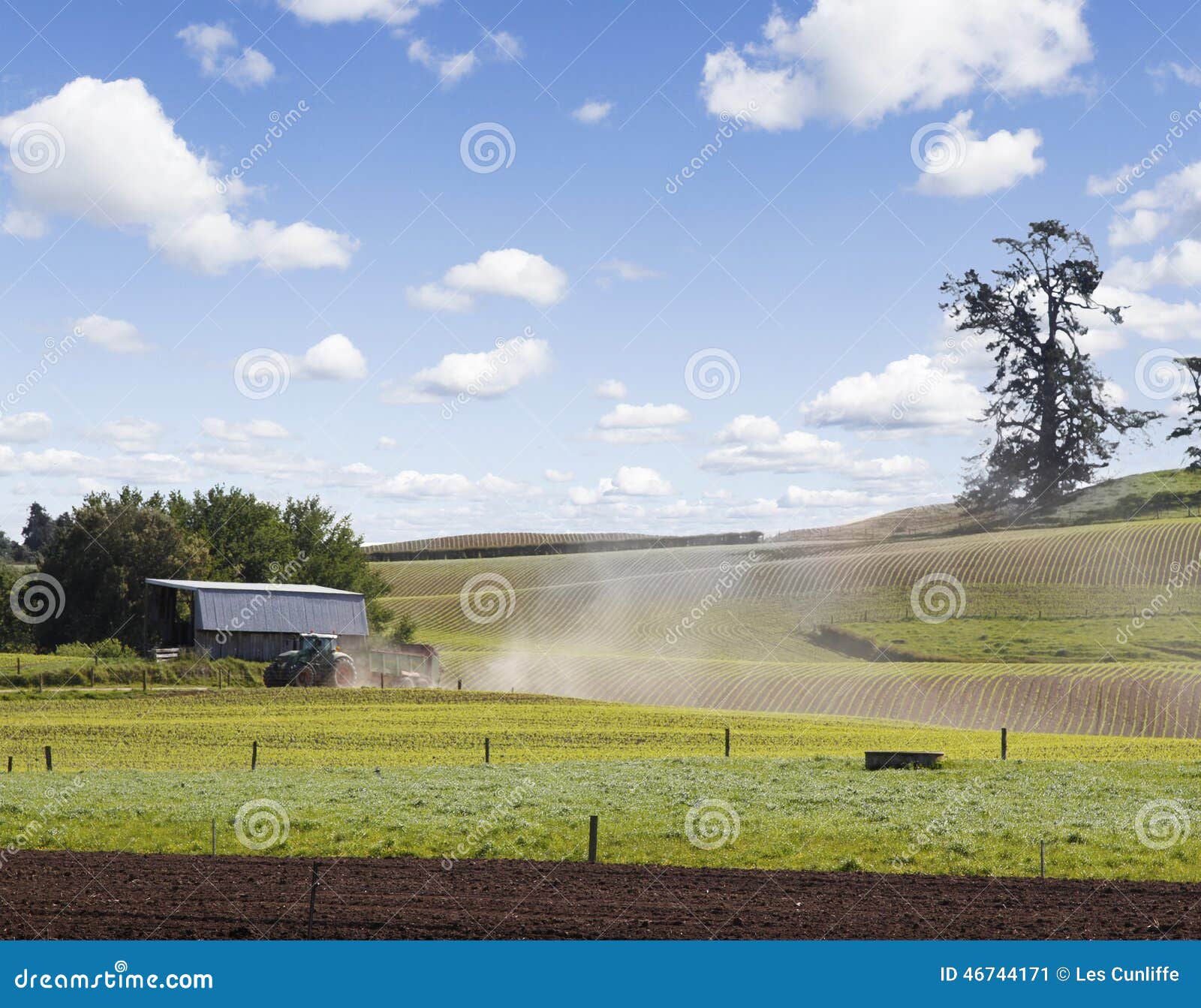 New Zealand farming stock image. Image of nature, corn - 46744171