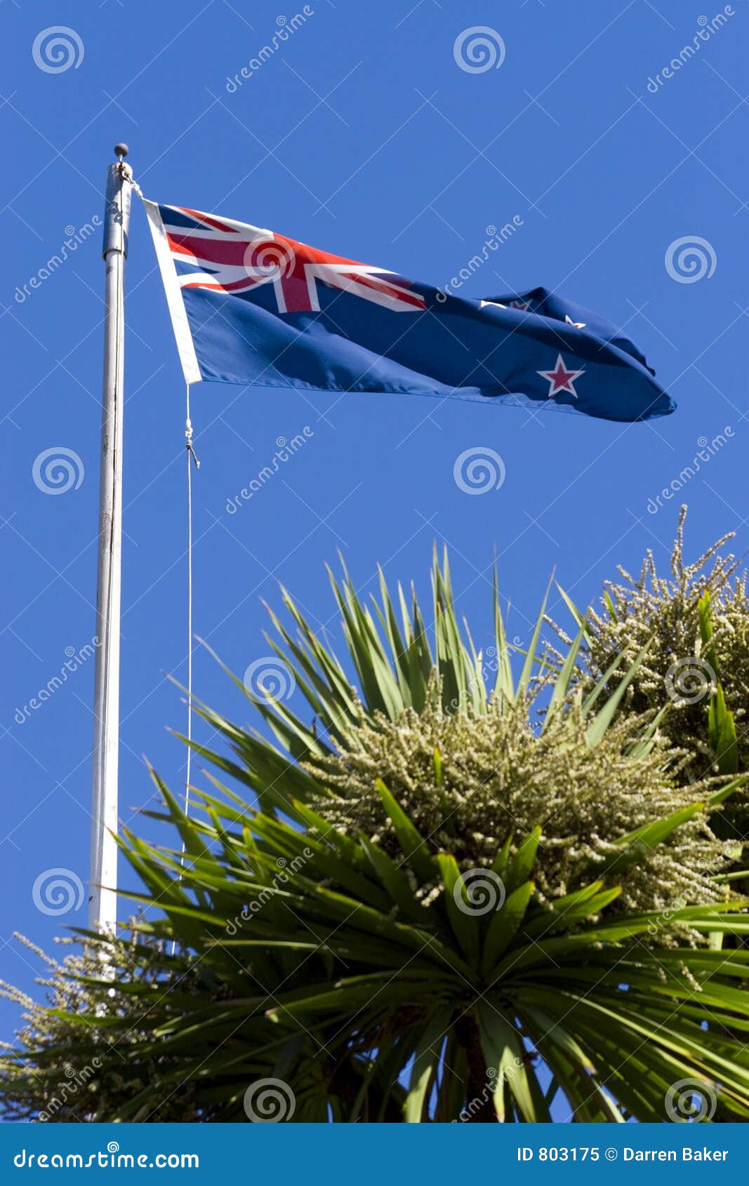 New Zealand Flag stock image. Image of stars, flying, wave - 803175