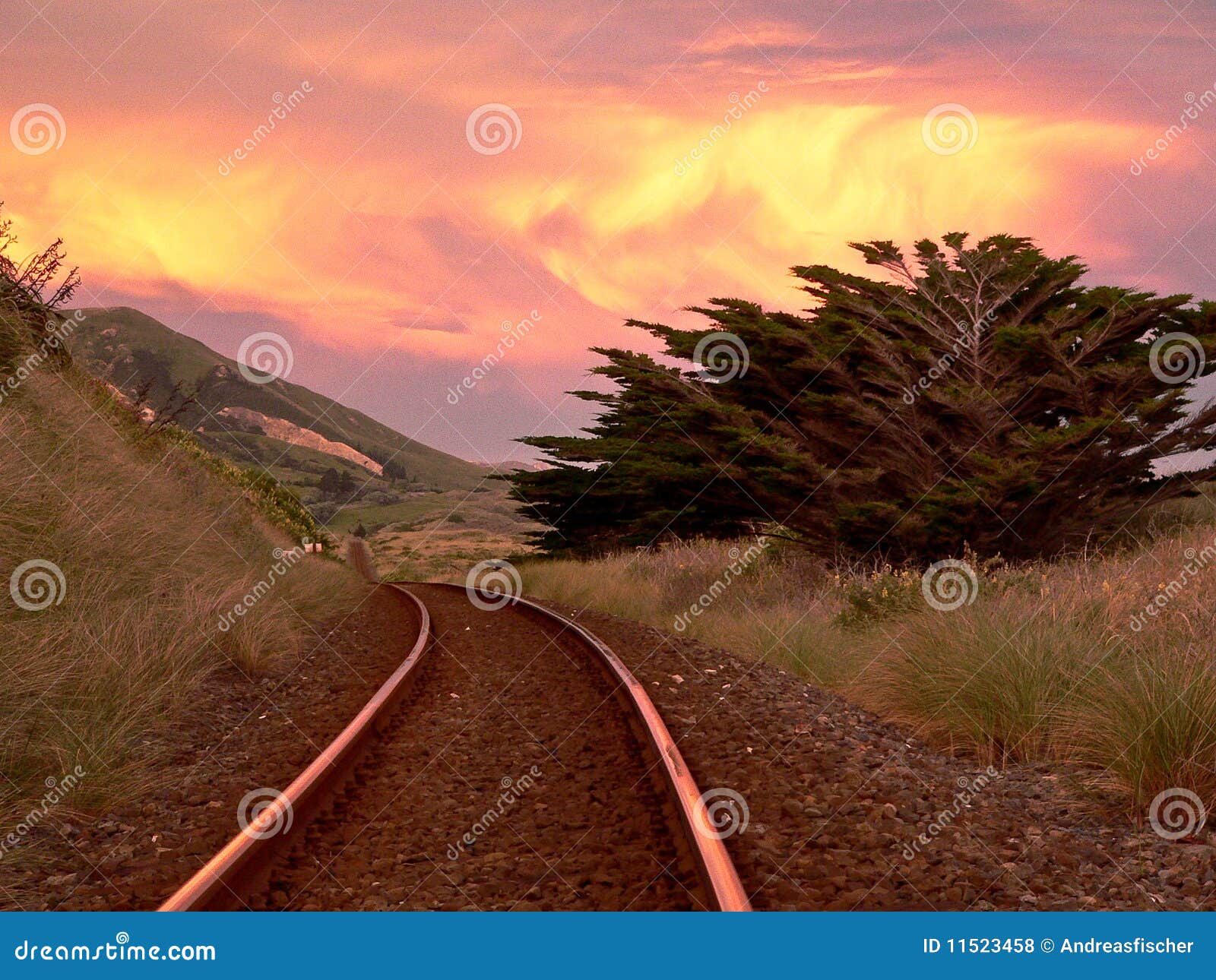 New Zealand railroad track stock photo. Image of jounrey - 11523458