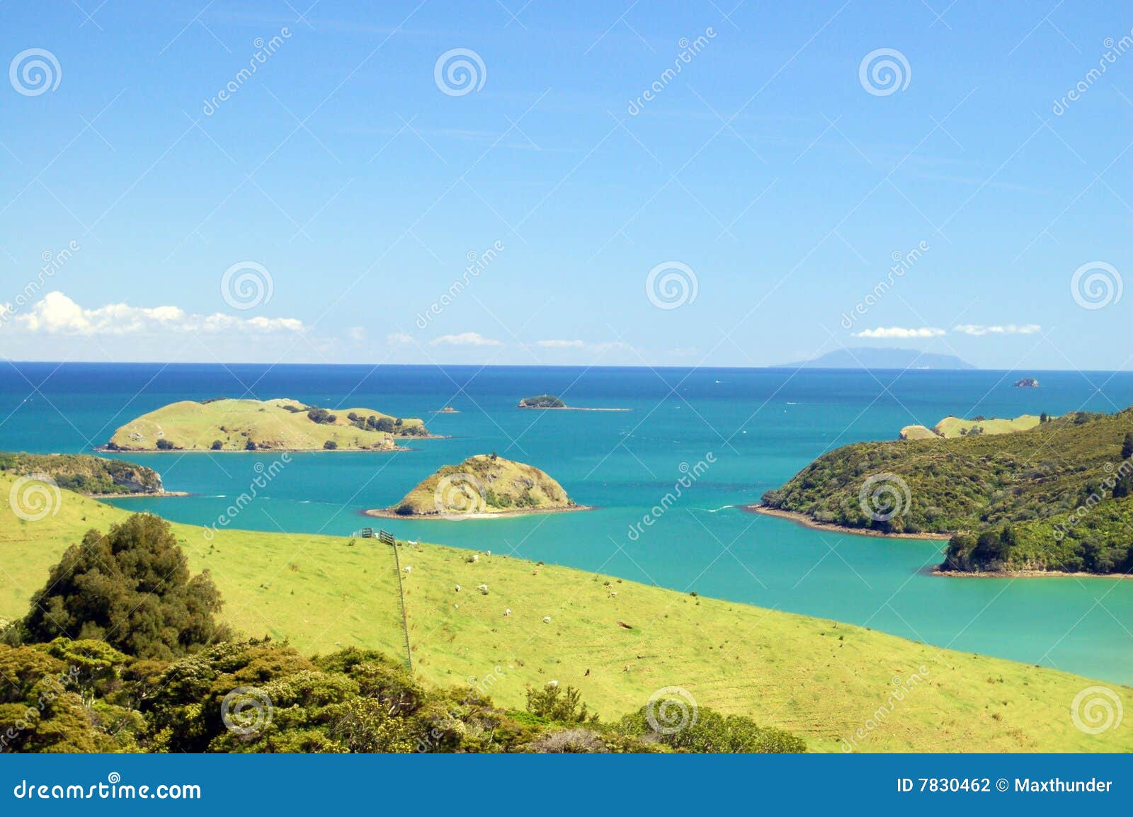 New Zealand Seascape stock photo. Image of ocean, landscape - 7830462