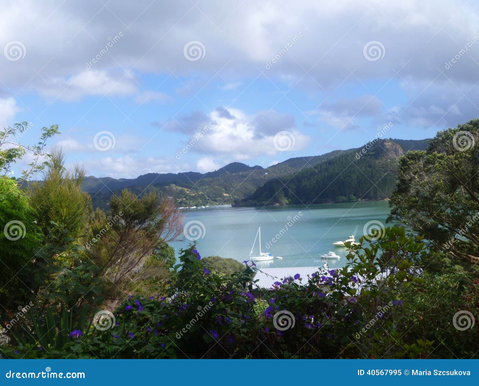 New Zealand, Whangaroa stock image. Image of whangaroa - 40567995