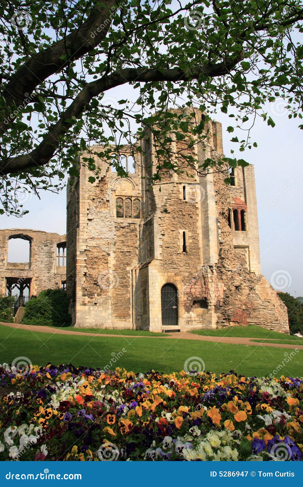 Newark Castle stock image. Image of castle, flowers, ruins - 5286947