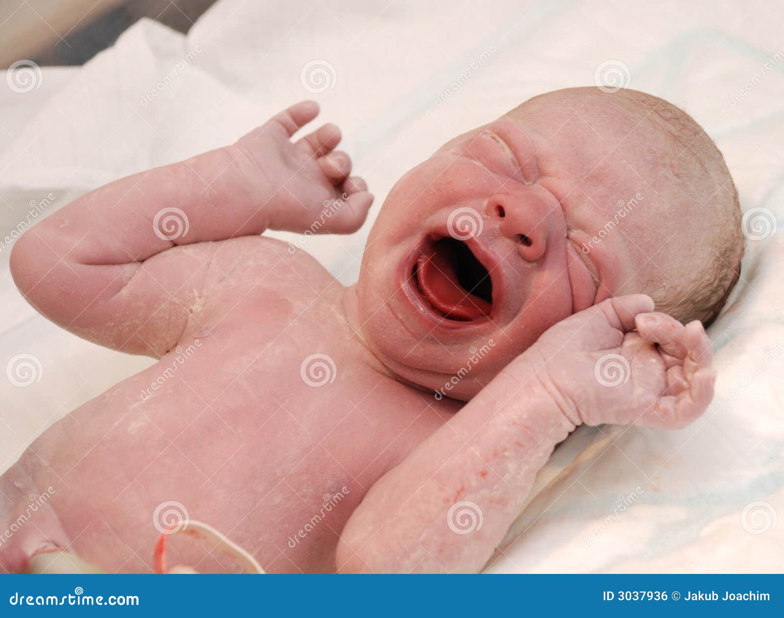 Newborn stock photo. Image of childhood, face, fragile - 3037936
