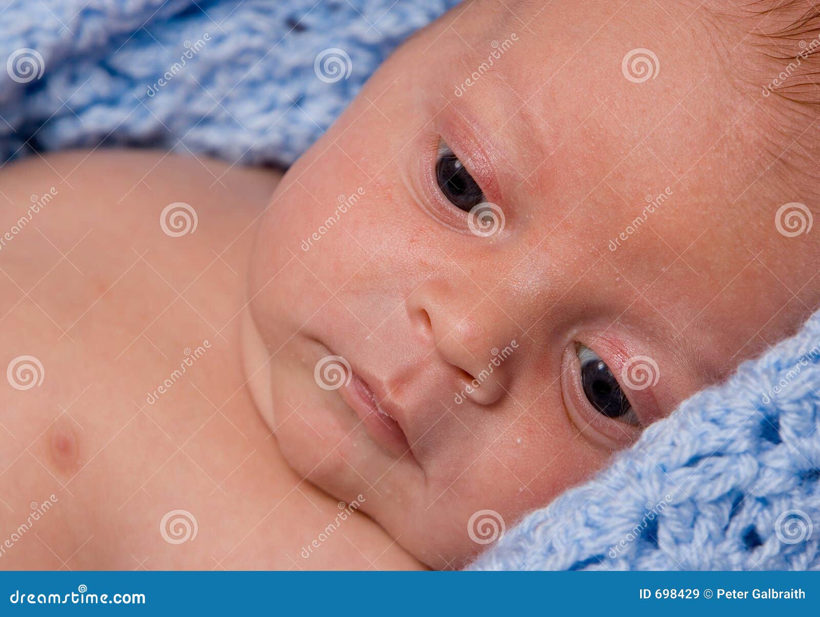 Newborn stock image. Image of gaze, infant, cute, expression - 698429