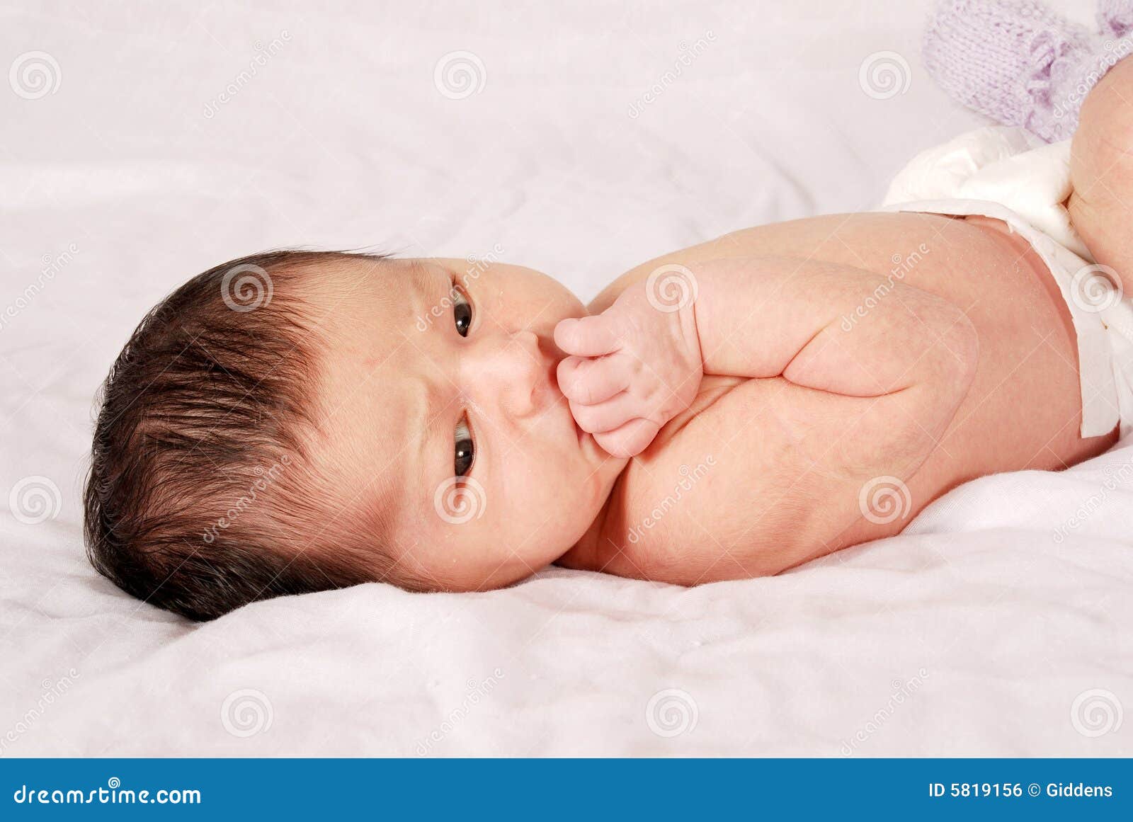 Newborn baby stock photo. Image of precious, hand, baby - 5819156