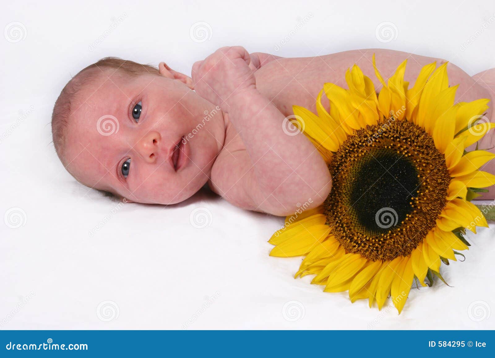 Newborn Baby stock image. Image of minor, baby, child, babies - 584295