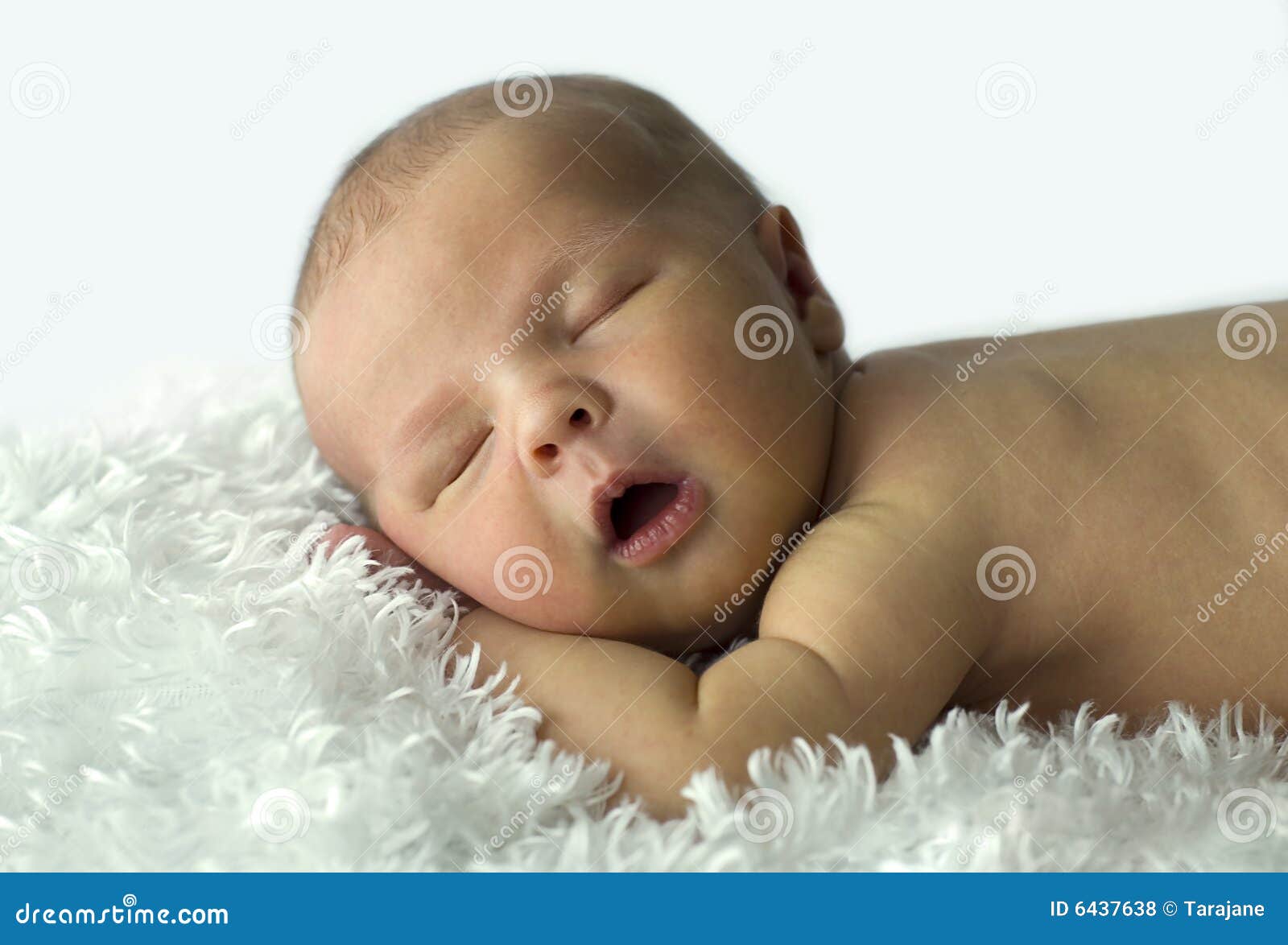 Newborn Baby stock photo. Image of sleep, pure, child - 6437638