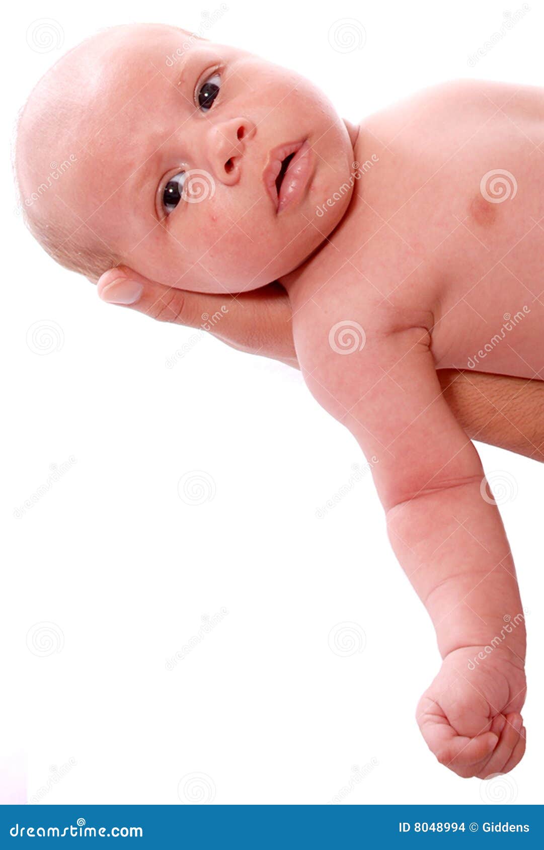 Newborn Baby Dads Arm Stock Photos - Free & Royalty-Free Stock Photos ...