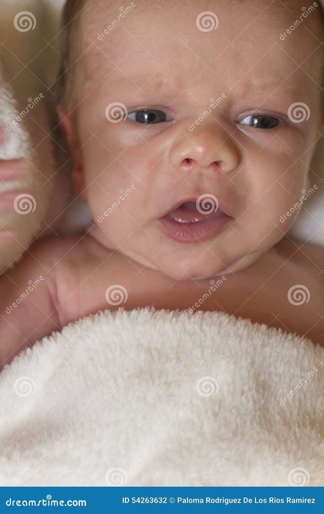 Newborn baby stock photo. Image of close, gorgeous, asleep - 54263632