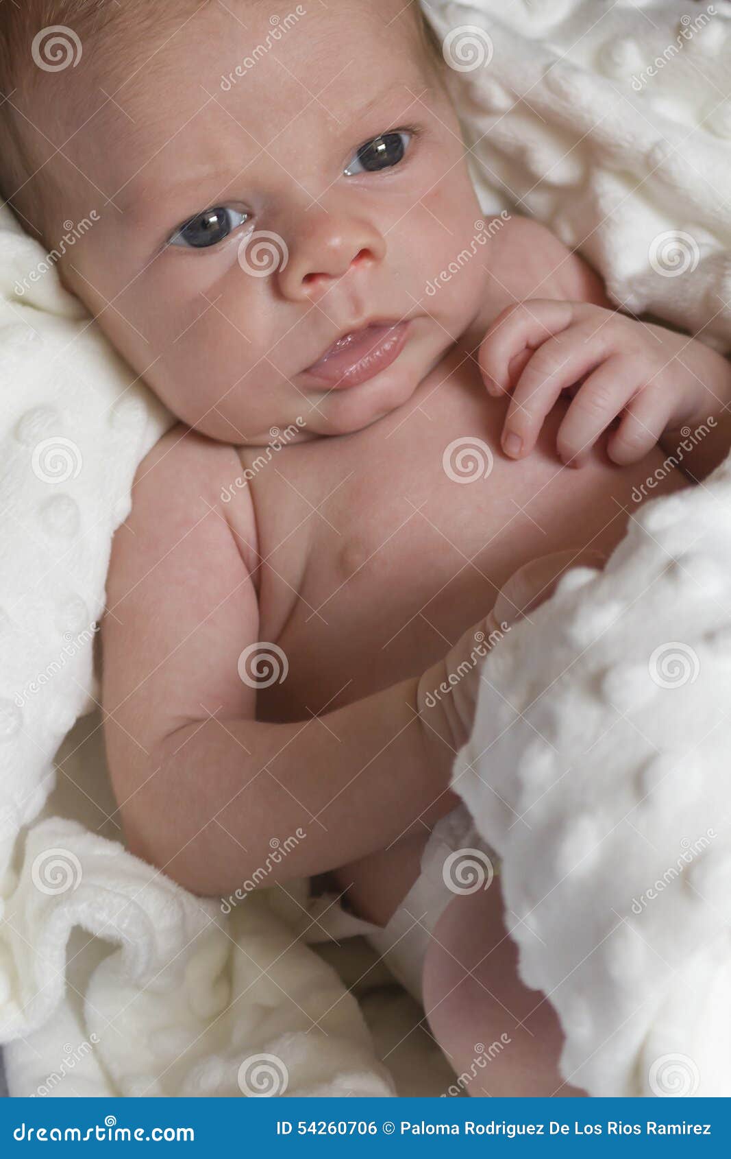 Newborn baby stock photo. Image of gorgeous, beauty, blanket - 54260706