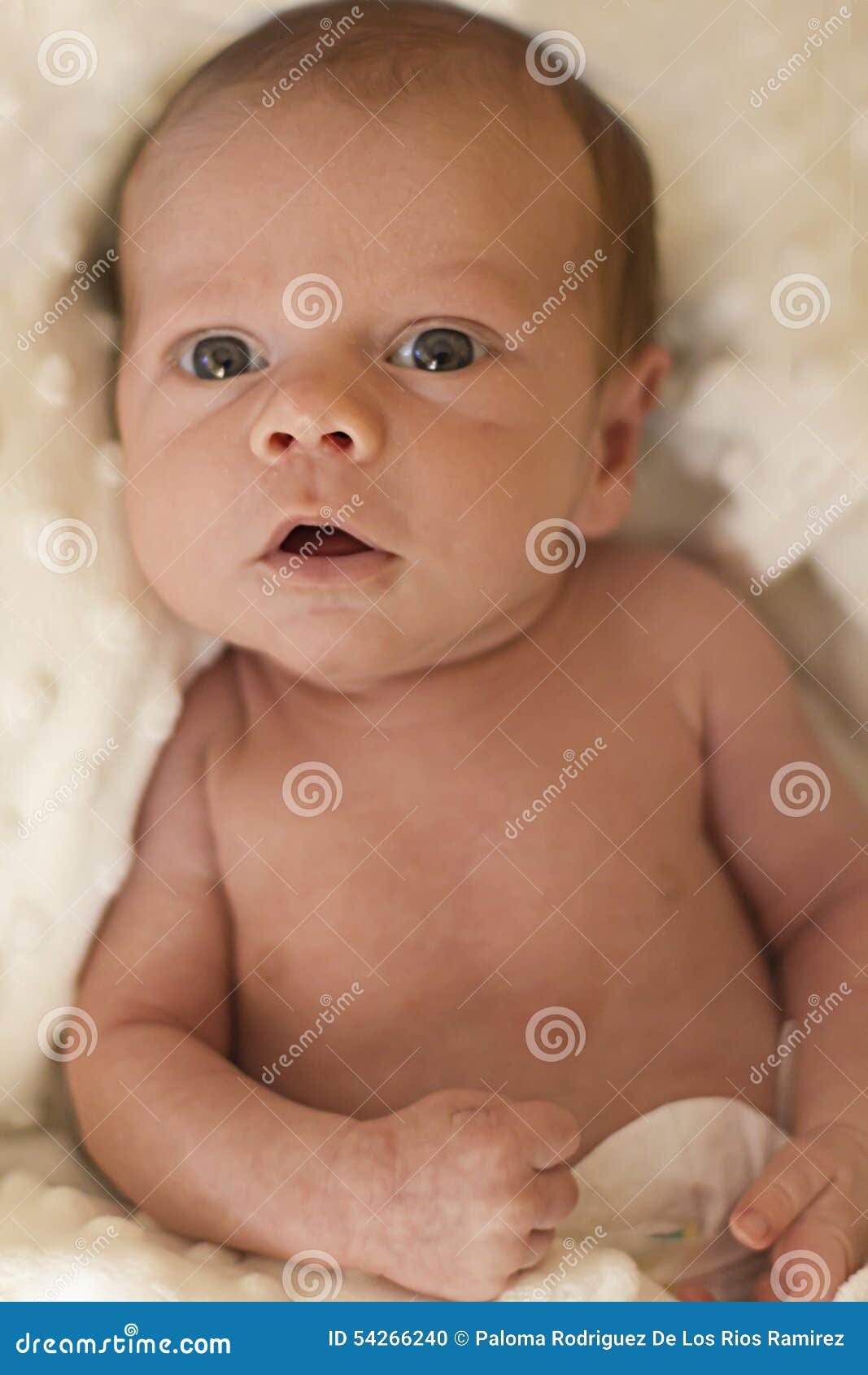 Newborn baby stock photo. Image of human, cuddly, little - 54266240