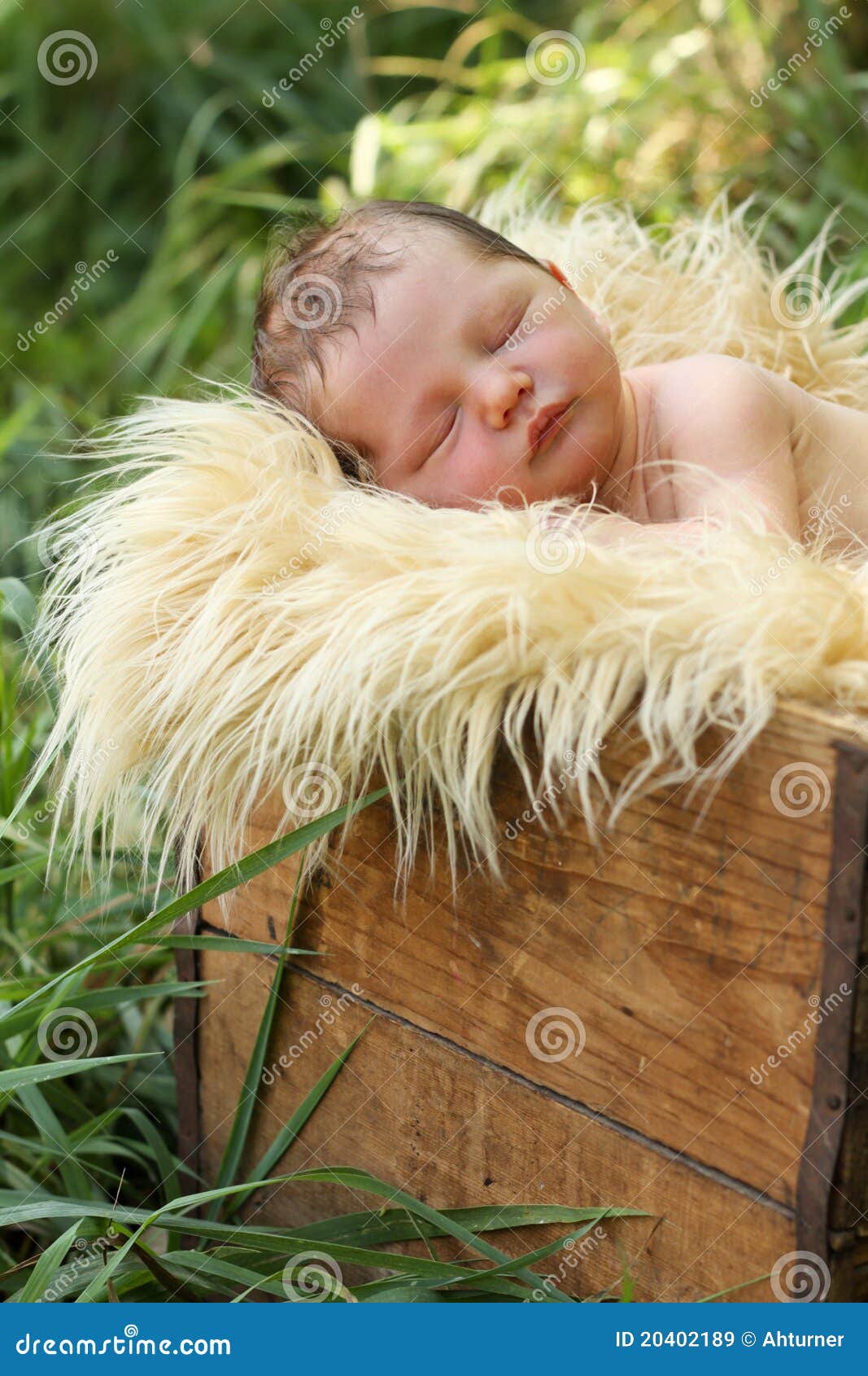 Newborn baby in a box stock image. Image of human, face - 20402189