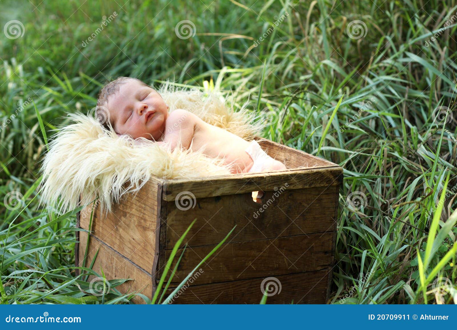 Newborn baby in a box stock image. Image of happy, happiness - 20709911