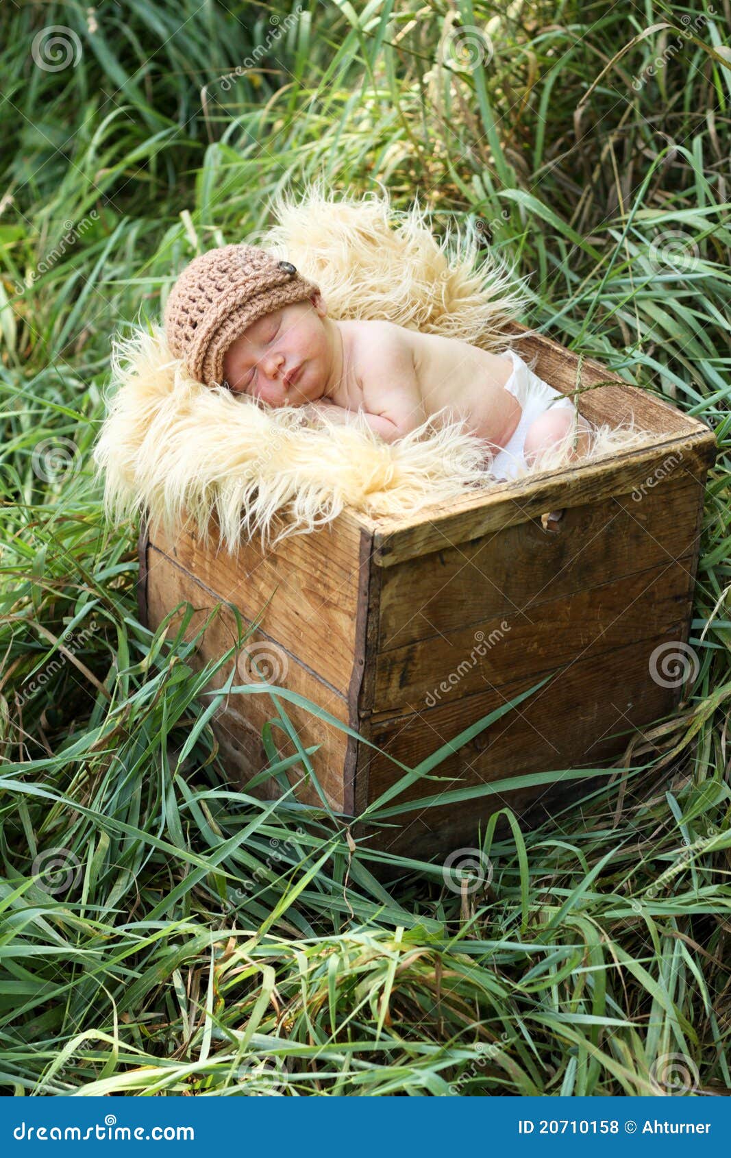 Newborn baby in a box stock photo. Image of innocence - 20710158