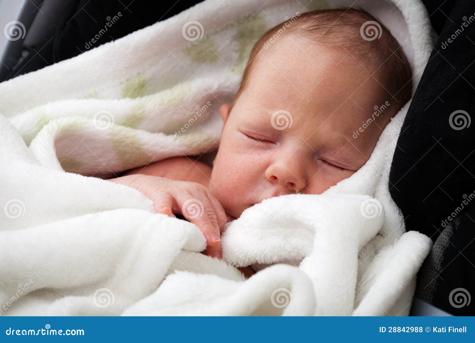 Newborn baby boy stock photo. Image of dream, male, life - 28842988