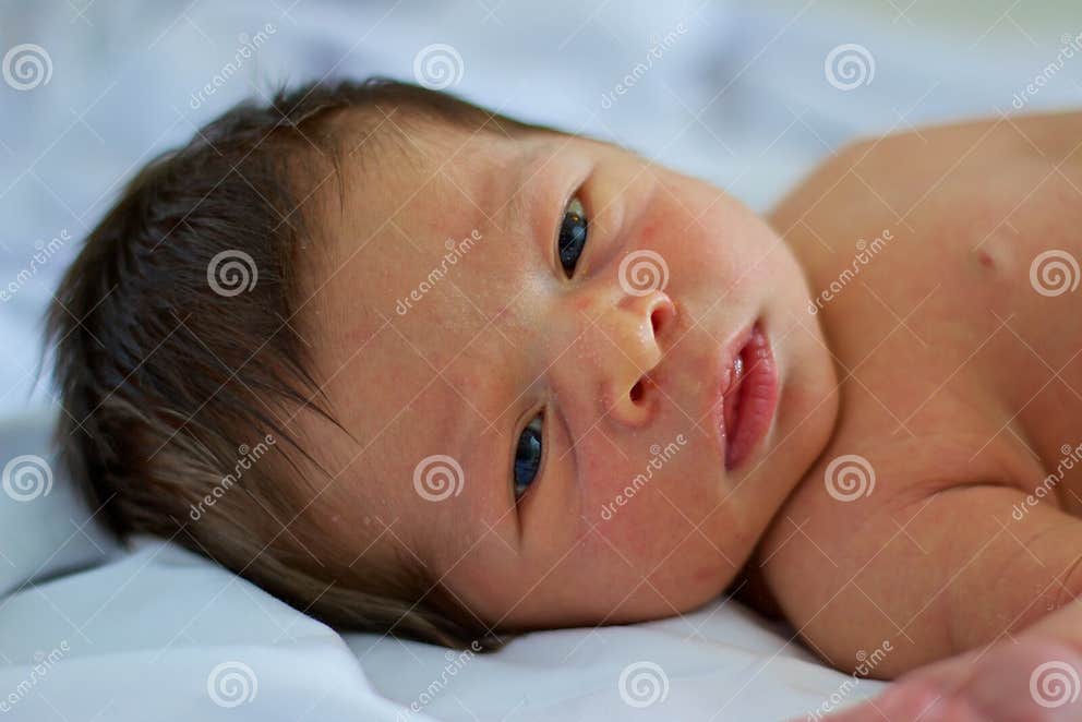 Newborn Baby Boy Face stock photo. Image of loving, nose - 55207616