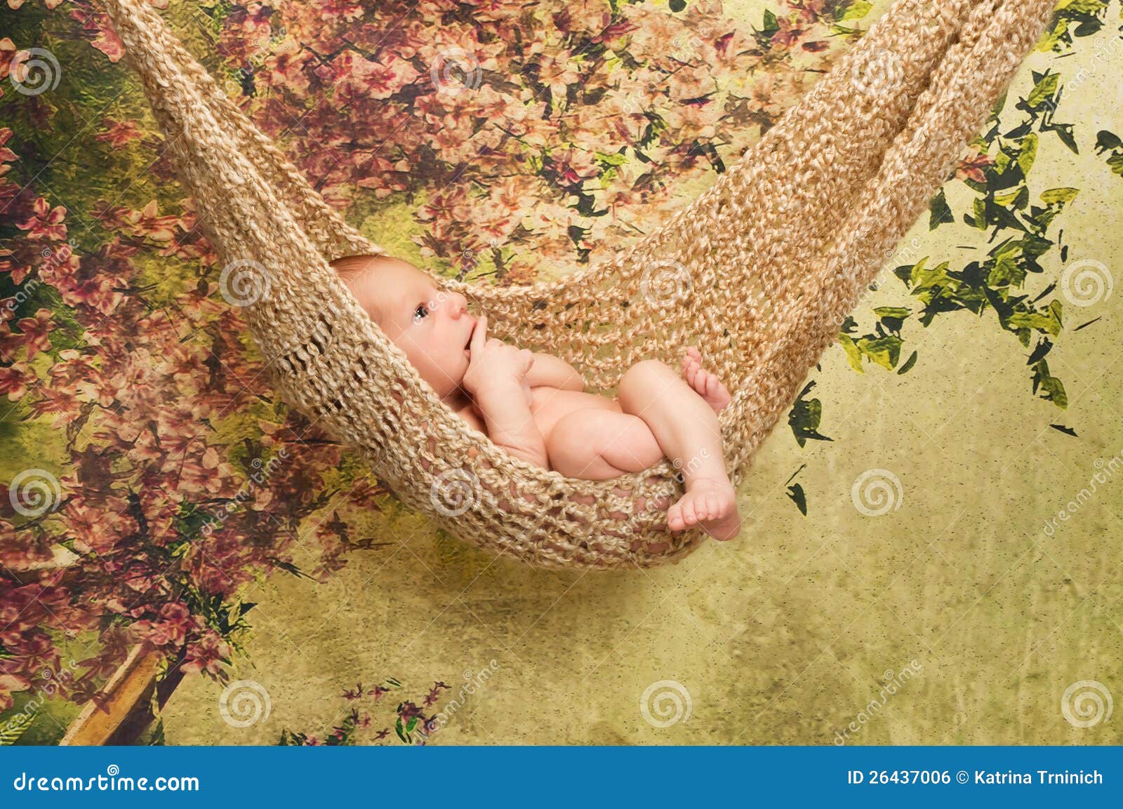 Newborn Baby Boy Relaxing in a Hammock Stock Photo - Image of newborn ...